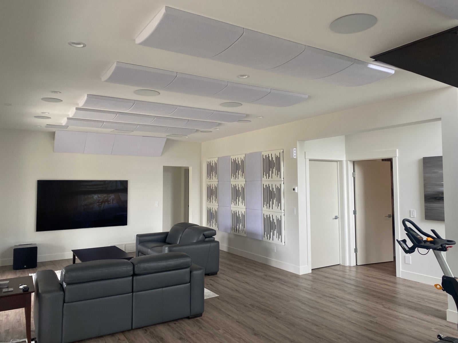 Home Theatre and Music Practice Room – Vicoustic