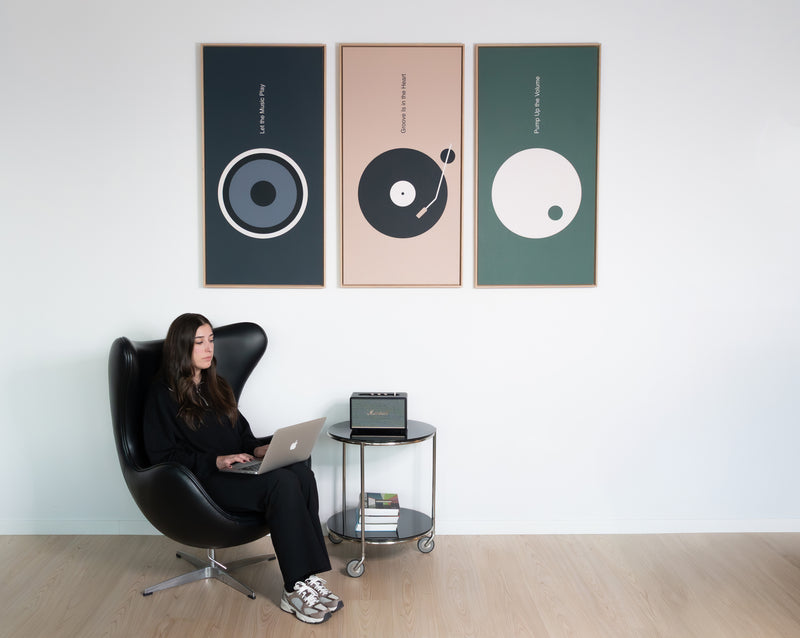 Echo Frame Music Acoustic Sound Absorbing Art Panel – Vicoustic