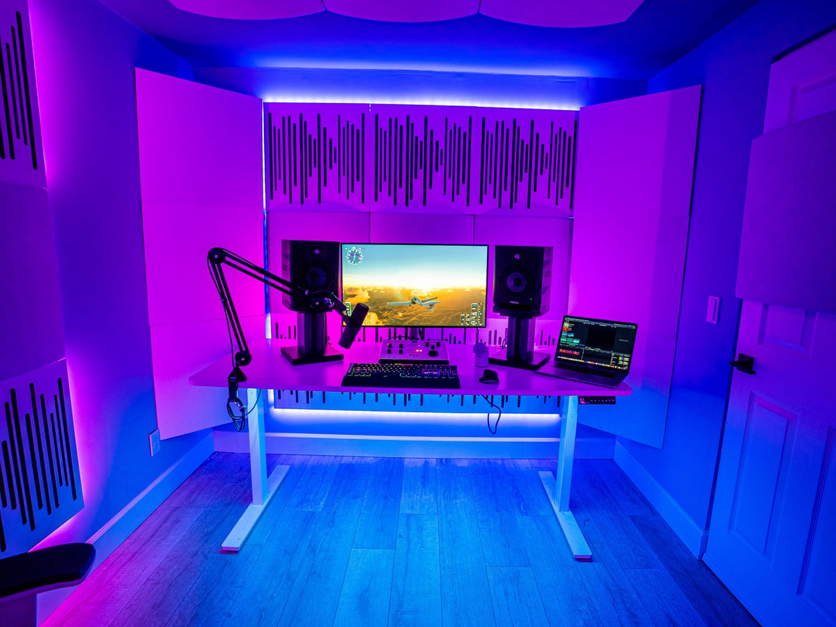 Gaming and YouTuber Room (Frenchie Fries) – Vicoustic