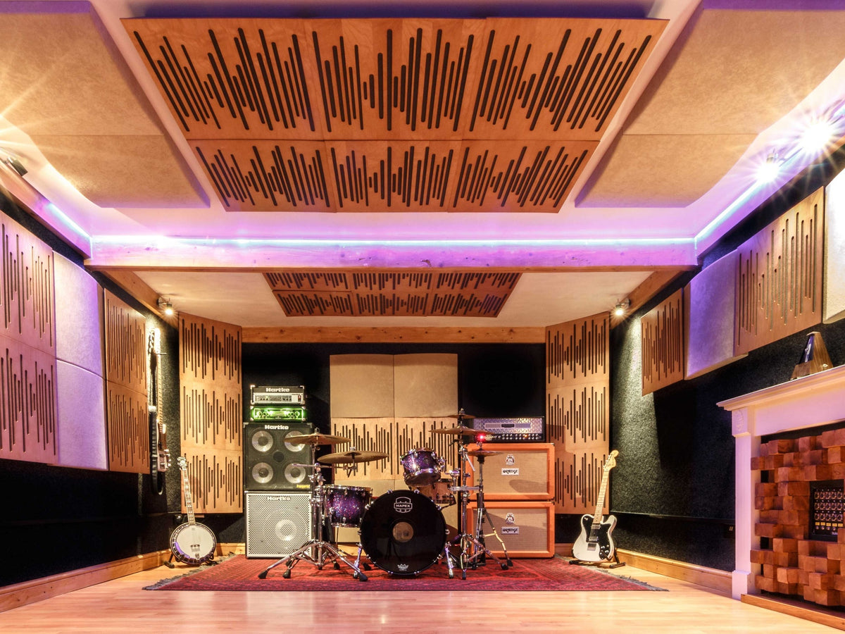 Dr. Shakamoto's Recording Studio – Vicoustic