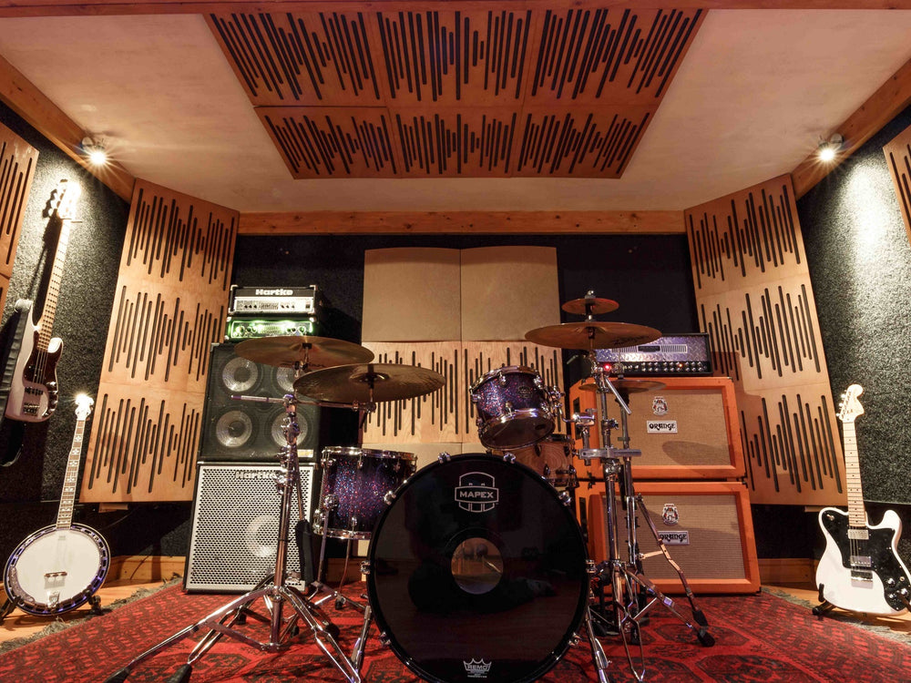 Dr. Shakamoto's Recording Studio – Vicoustic